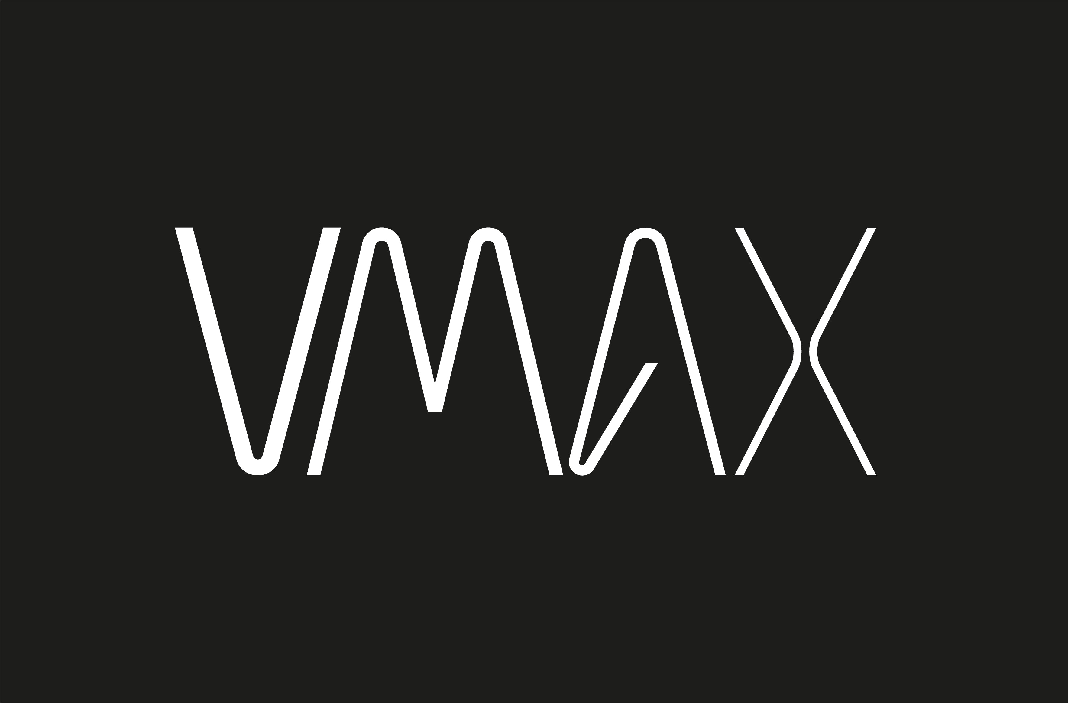 VMAX sticker back fender - vmax-sticker-back-fender